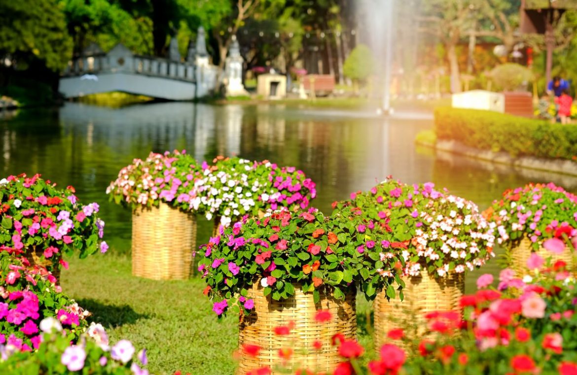 Bangalore’s Lalbagh Gears For Independence Day Flower Show; Parking Restrictions Announced