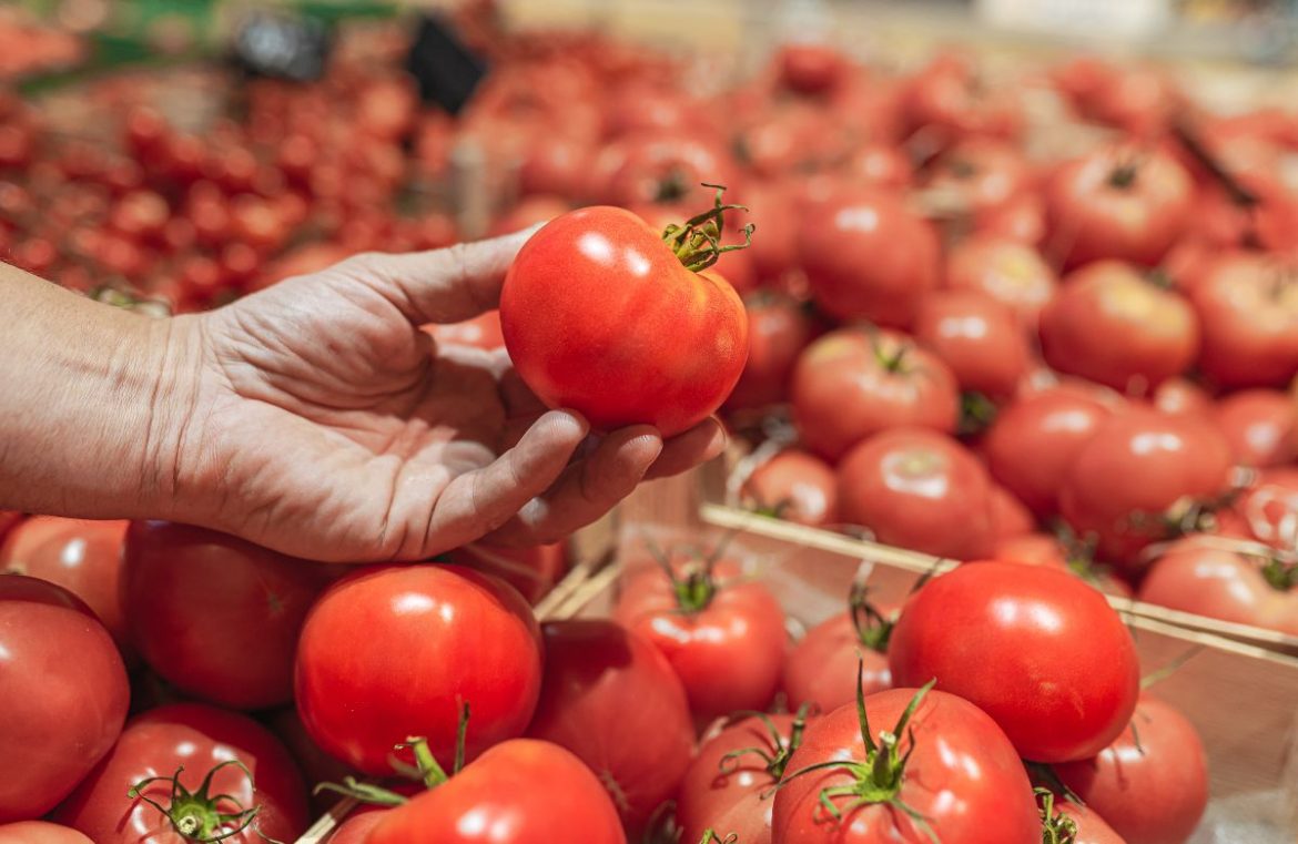 Tomato Prices Drop In Bengaluru, Mumbai, Hyderabad & More; Here's Why ...