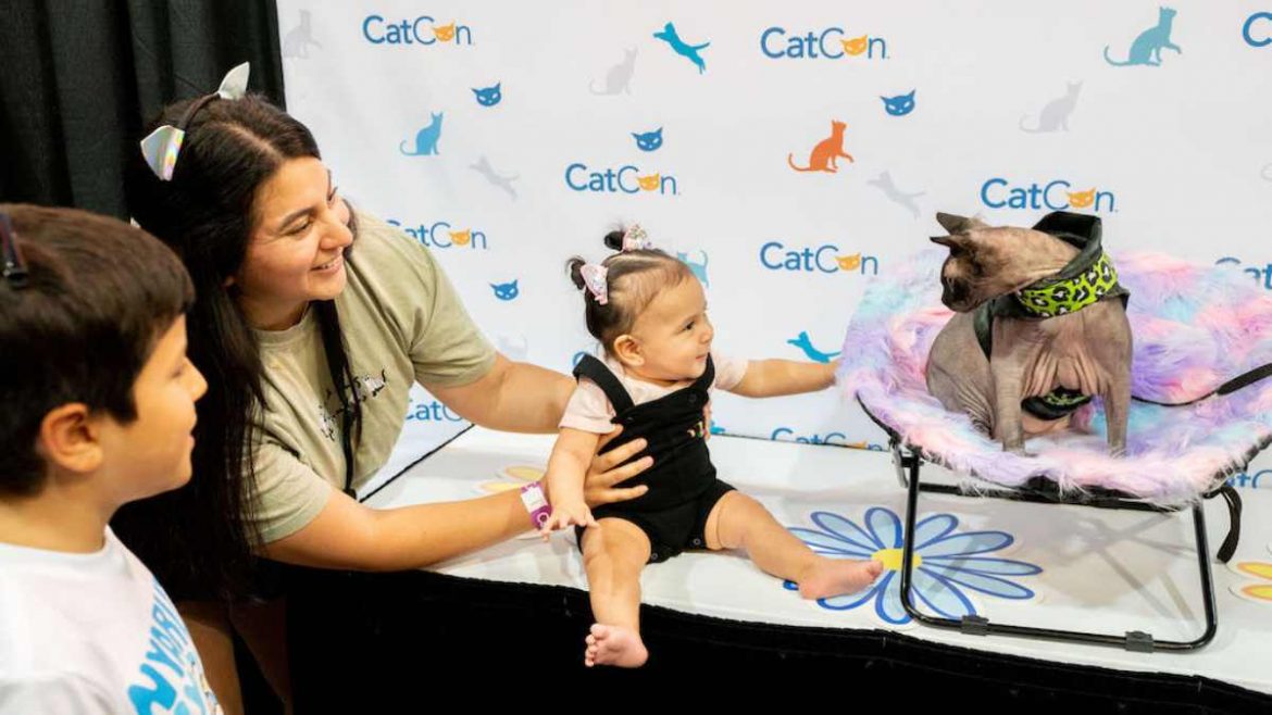 California Just Had A CatCon, A Meet & Greet For Famous Cats And It Was ...