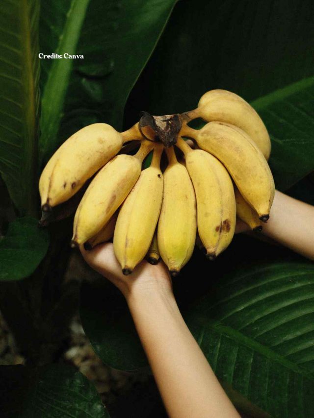 Go Bananas With These 6 Desi Dishes Made Of Bananas!