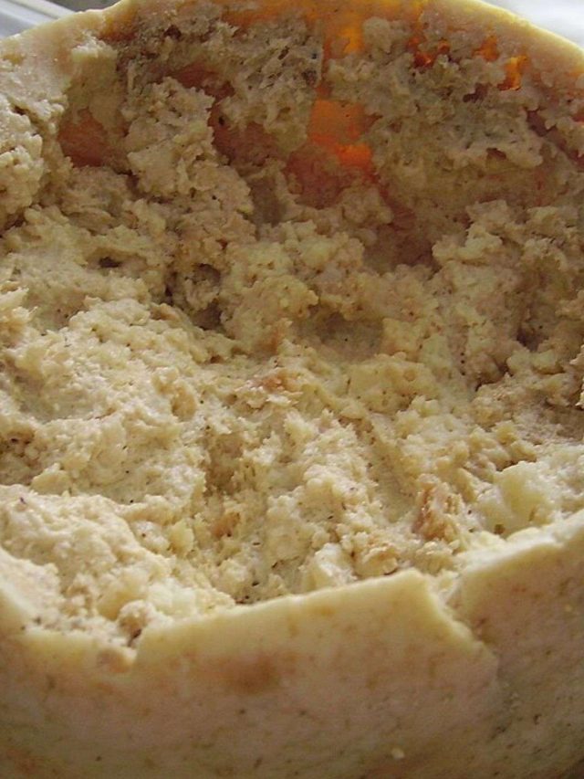 What Is Casu Marzu Cheese, One Of The Most Dangerous Cheese In The World?