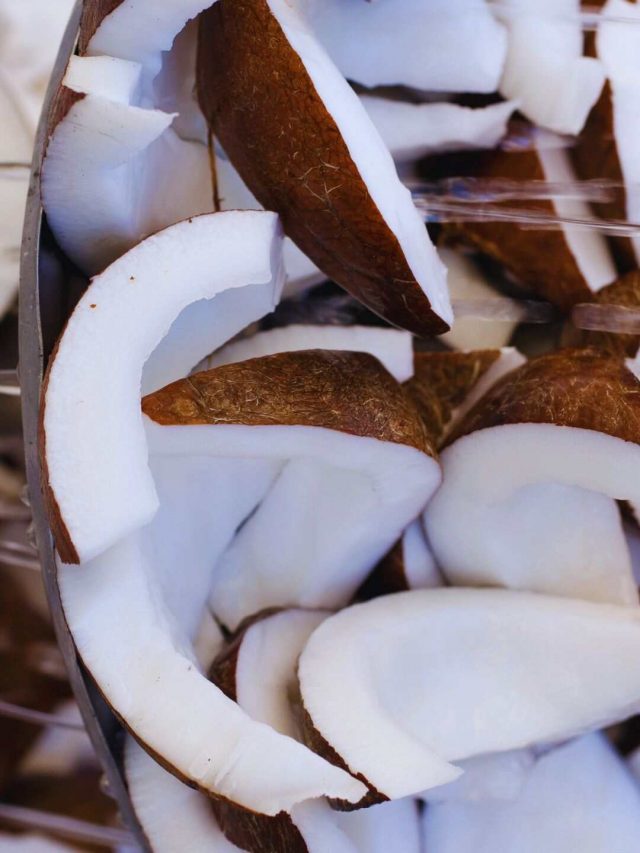 World Coconut Day: 4 Indian Coconut-Rich Delicacies To Prepare On This Day