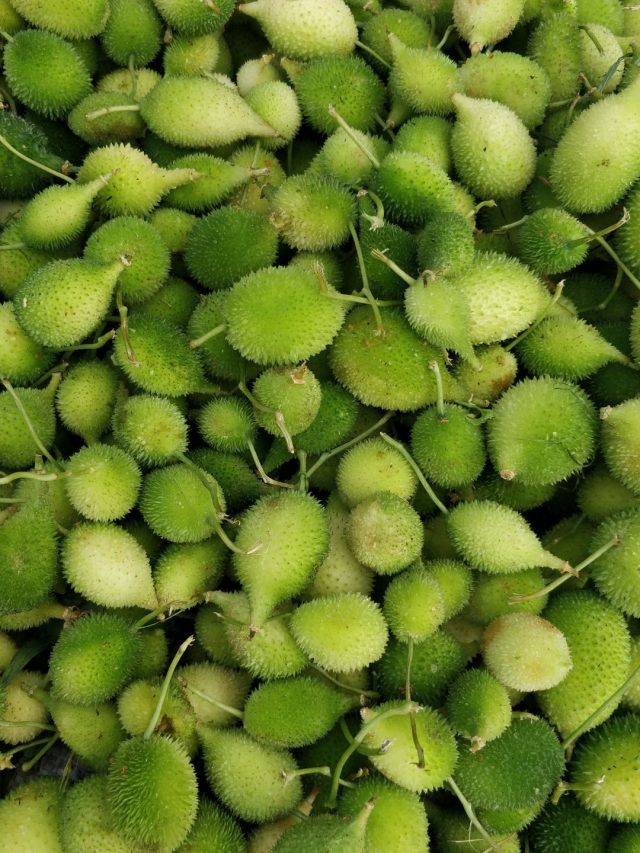 What is Kantoli AKA Spiny Gourd? 5 Reasons Why You Should Add It To ...