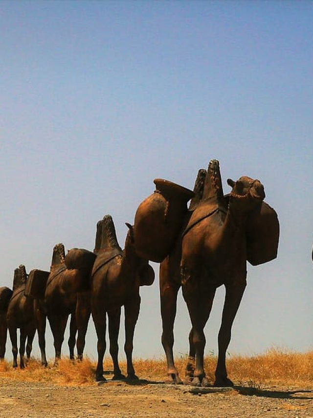 Silk Road: History Of 6,400 Km Route & The Food Items That Were ...