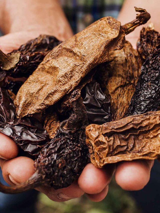 8 Facts About Mexico's Famous Chipotle Pepper That's Used In Most Dishes!