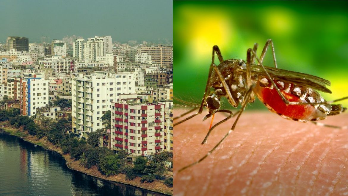 Bangladesh Battles Its Worst Dengue Outbreak In 20 Years; 61,500 ...