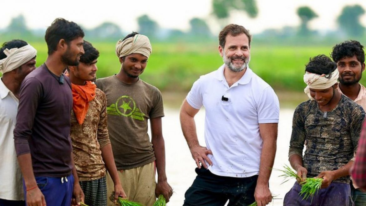Rahul Gandhi Visits Delhi's Azadpur Mandi, Enquires About Veggies ...