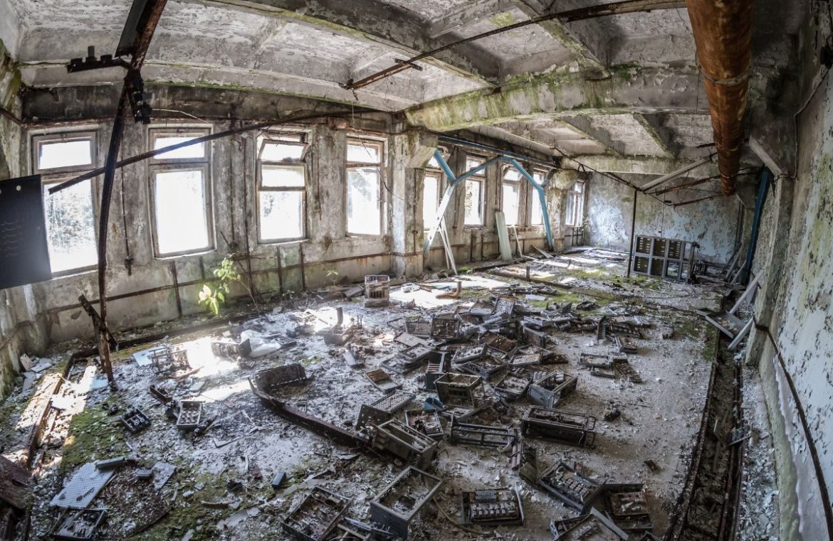 Germany’s Wild Pigs Are Radioactive; How Did The Chernobyl Disaster ...