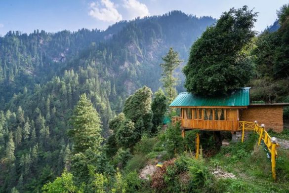 This Mesmerising Treehouse In Tandi, Jibhi Has An Incredible View Of ...