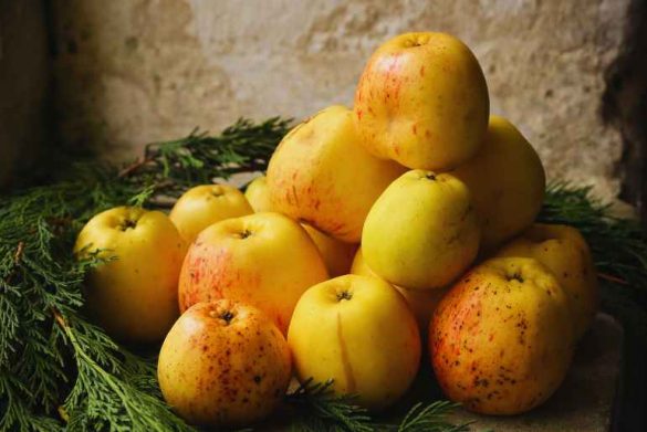 While World Is Going Crazy Over Apple iPhone 15, World's Most Expensive ...