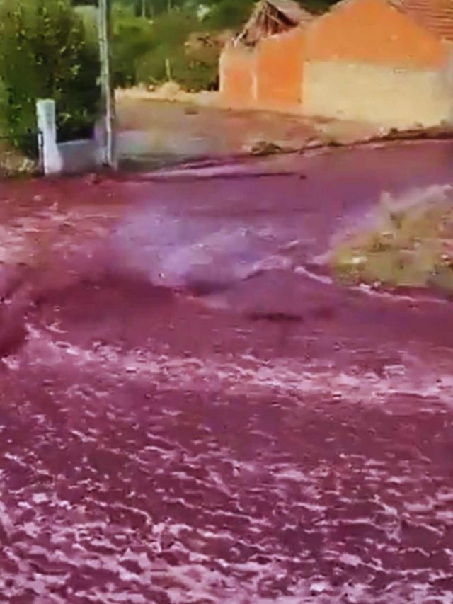 It's Flowing Wine, Quite Literally! Portugal's Village Gets Flooded ...