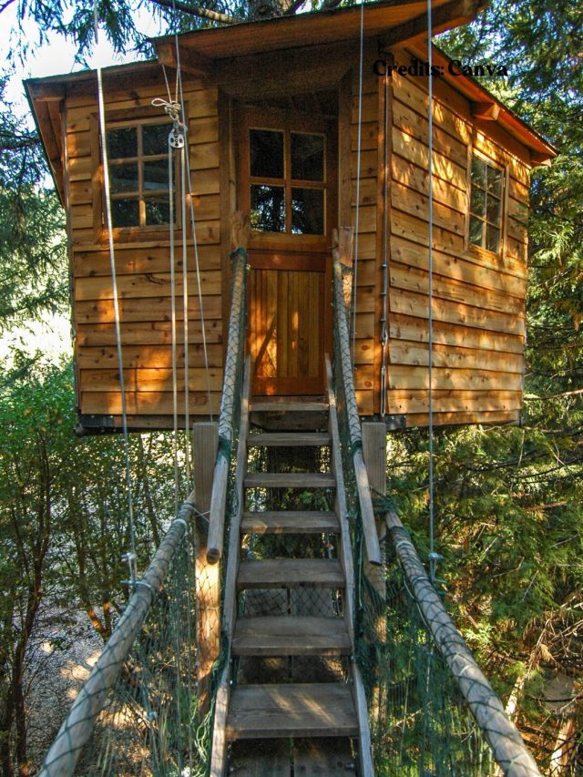 8 Treehouses In India To Live Your Mowgli Dreams