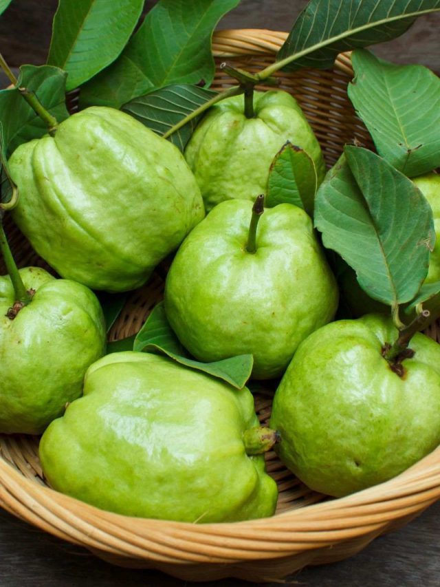 8 Types Of Indian Guavas And Its Varieties In India