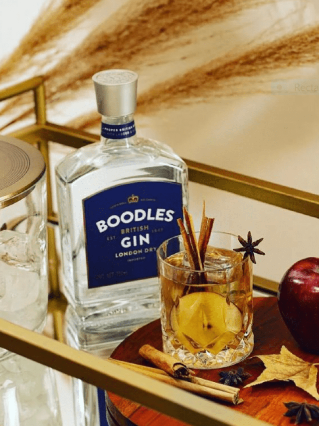 5 Lesser-Known Gin Brands To Try Once In Your Life