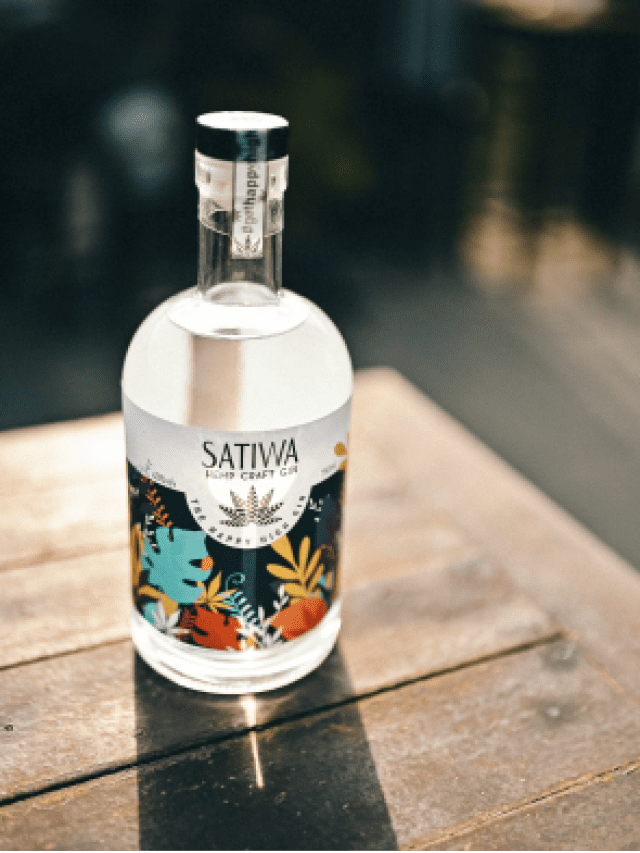 6 Hemp-Based Alcohol Brands To Try