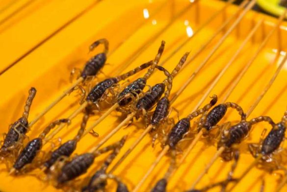 Woman Fries Scorpion In Hot Oil & Tops It With Spices In Thailand ...