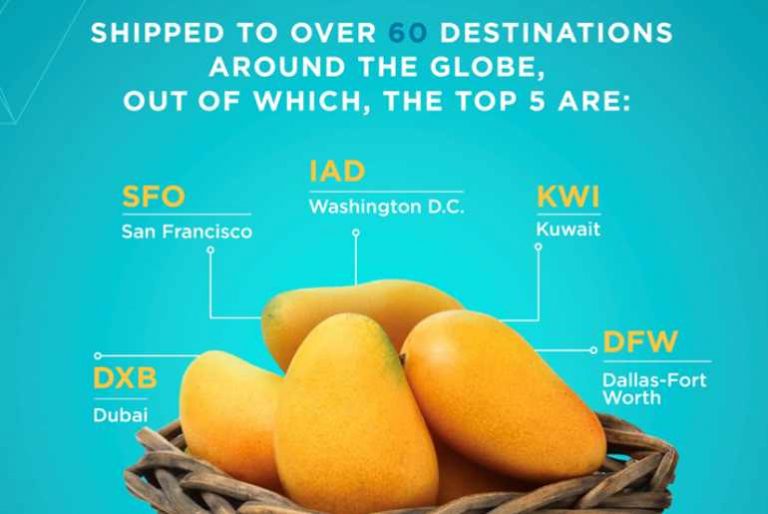 Mango Mania! Bengaluru Airport Exports 124% More Mangoes In 2023 Than ...