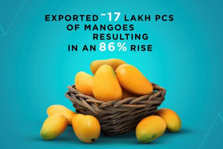 Mango Mania! Bengaluru Airport Exports 124% More Mangoes In 2023 Than ...