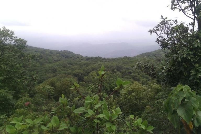 From Waterfalls To Forts, 8 Exciting Things To Do In Amboli ...