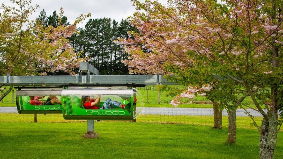 When In New Zealand, Ride The Shweeb Magic And Experience A Pedal ...