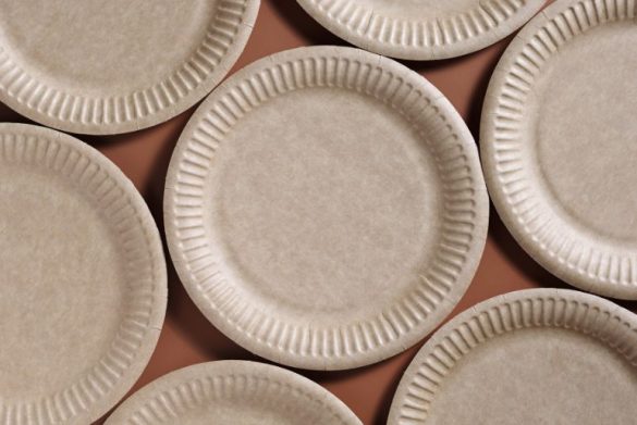 Women Of Sunderbans Sent Over 10,000 Paper Plates, Bowls & Glasses To ...