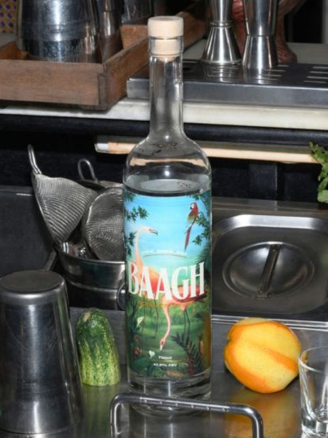 5 New Indian Gins To Embrace The Festive Spirit