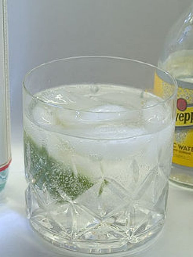 Trying Gin For The First Time? Here’s Are 7 Tips For You