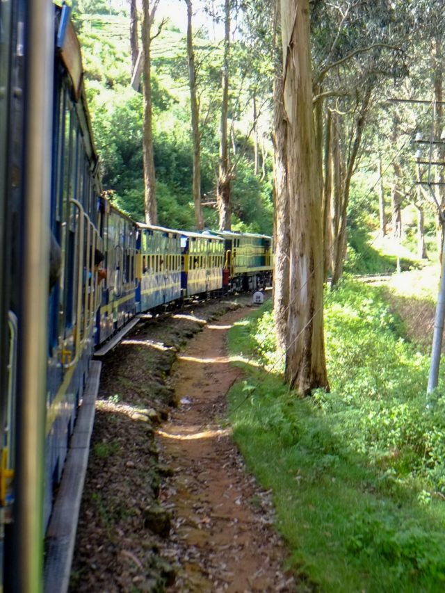 5 Heritage Trains In India That You Must Definitely Travel By
