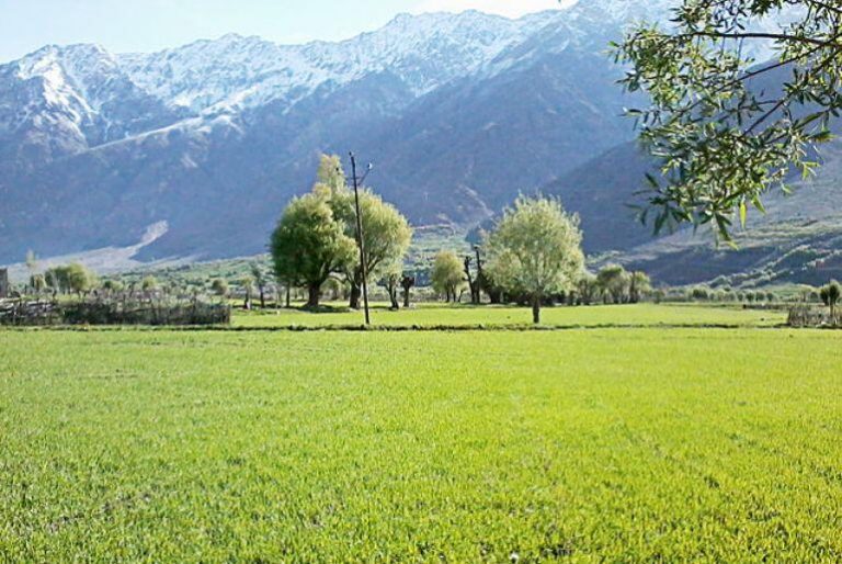 Travelling To Kashmir? Here Are 4 Tourist Things To Do In Dawar Village