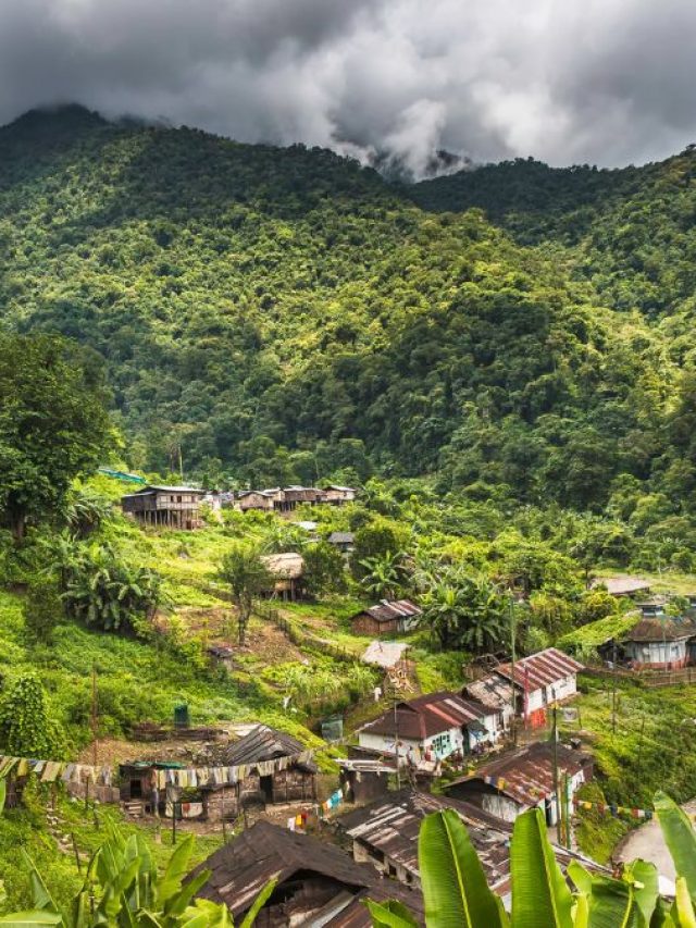 4 Things To Do In Arunachal Pradesh's Namsai Where The Largest ...