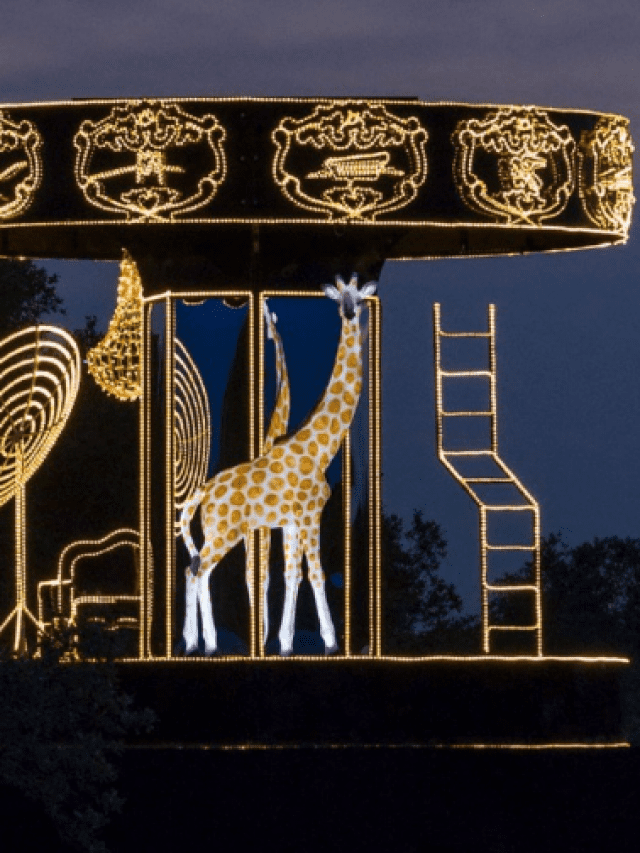 In Pics: Public Light Art Installations In Abu Dhabi To Immerse Yourself In