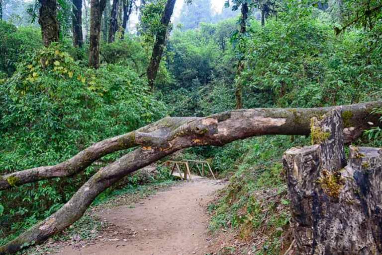 Located On The Extreme End Of Himalayan Ridge, Lolegaon In West Bengal ...