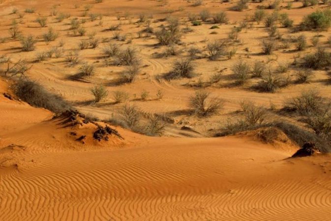 8 Best Desert Safari Spots In GCC. That You Cannot Miss