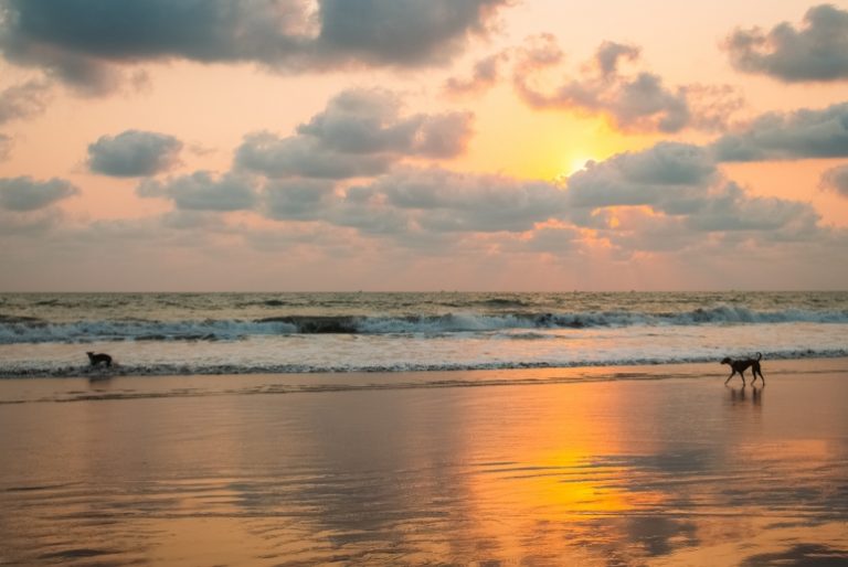 The Ultimate 5-Day Goa Itinerary For 2024; Beach Bliss, Goan Delights ...