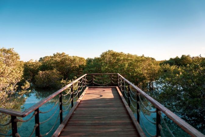 8 Must-Visit Destinations for Nature Lovers In the UAE