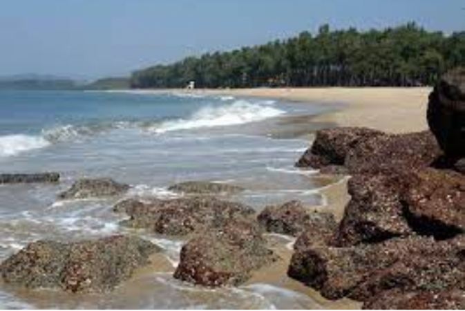 From Goa To Odisha, 8 Places To Watch Turtle Hatchlings In India