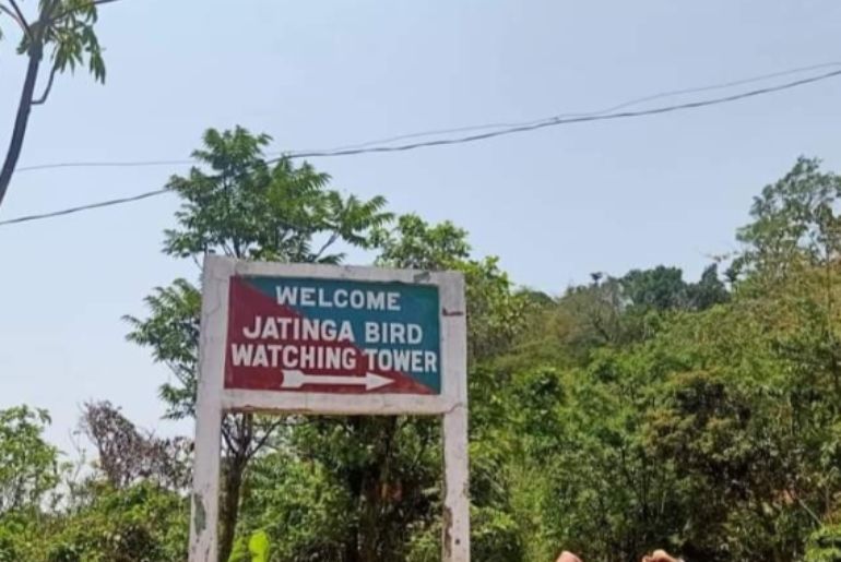 Birds In Assam’s Jatinga Valley Don’t ‘Commit Suicide’; Here’s The ...