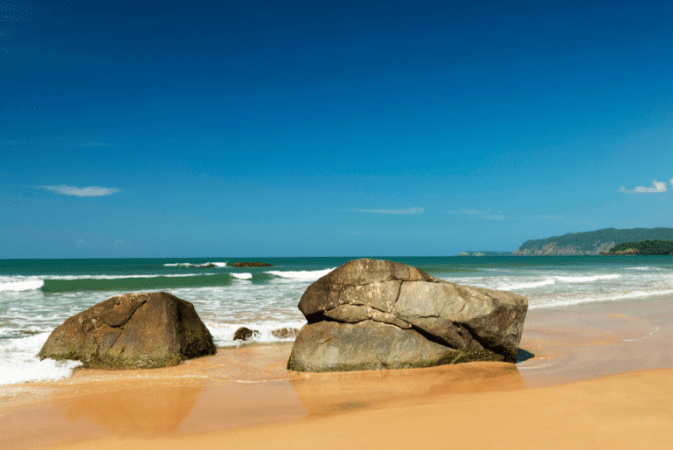 From Goa To Odisha, 8 Places To Watch Turtle Hatchlings In India