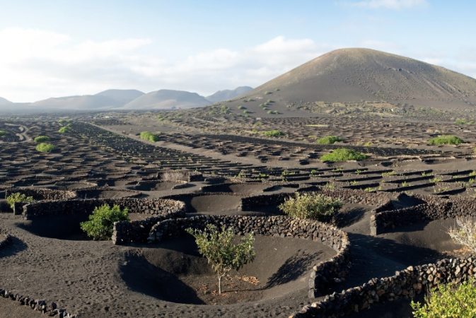 Ever Tried A Volcanic Wine? Explore The Exotic Tastes And Beauty Of ...