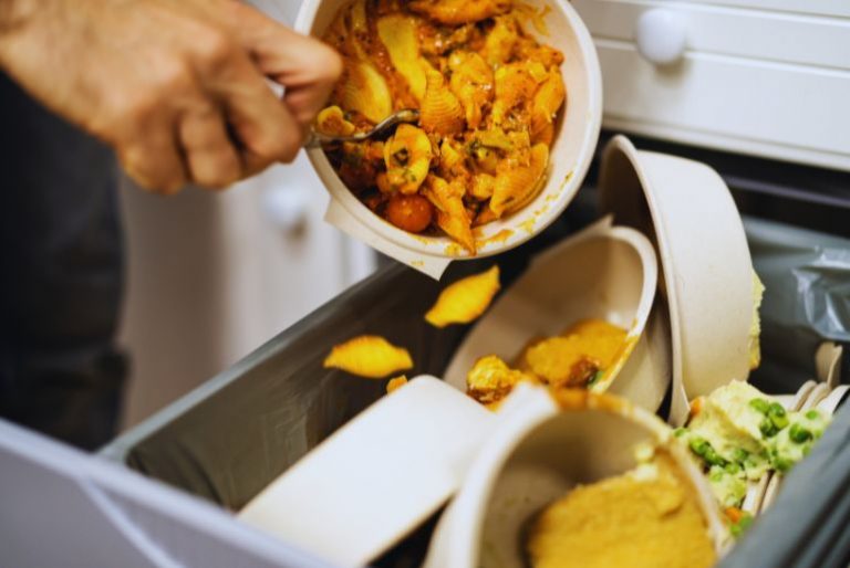 India Wastes 68.7M Tonnes Of Food Every Year; Households & Food Service ...