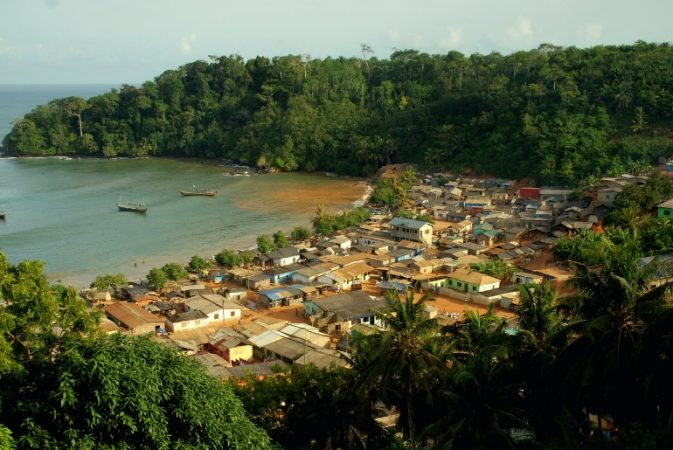 Ghana Battles 70% Surge in Deforestation; 18,000 Hectares Lost In 2022 ...