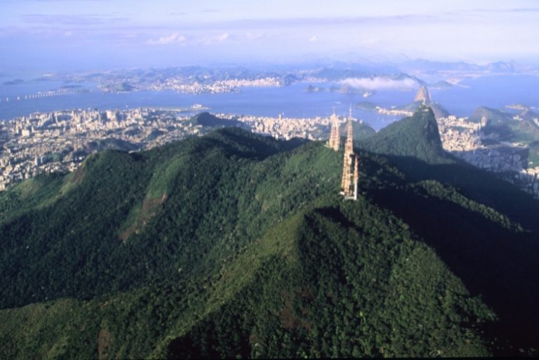 Tijuca Forest, Brazil's Largest Urban National Park, Undergoes ...
