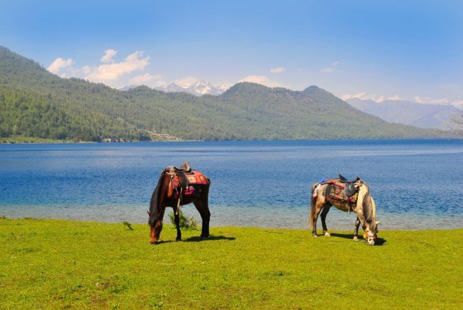 Discover Rara Taal, Nepal's Hidden Gem, The Largest Freshwater Lake In ...