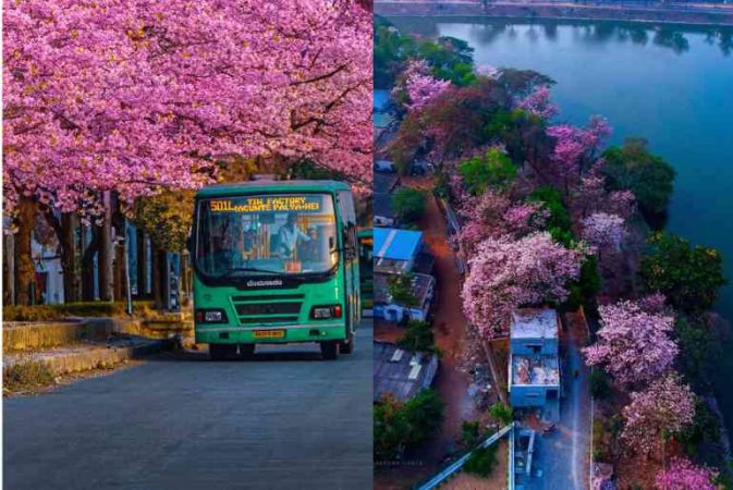 Ever Wondered How Bengaluru Came To Be The ‘Garden City Of India’? Here ...