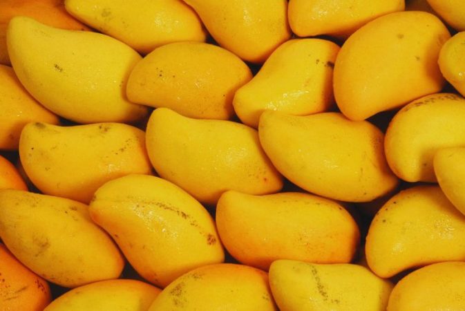 From Chaunsa To Langda, What's The History Behind Popular Mango ...