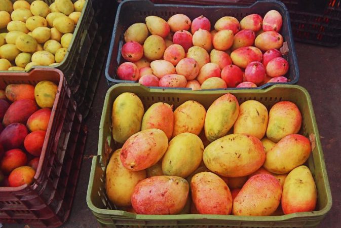 From Chaunsa To Langda, What's The History Behind Popular Mango ...