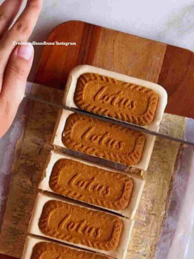 Lotus Biscoff Ice Cream Sandwich Recipe at Jimmy Strother blog