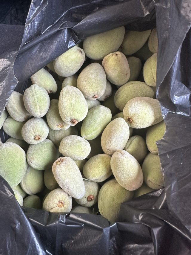 8 Health Benefits Of Kacha Badam or Green Almonds