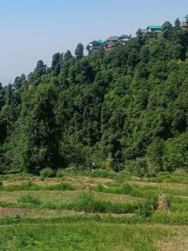 6 Places To See In Himachal's Sangla Valley