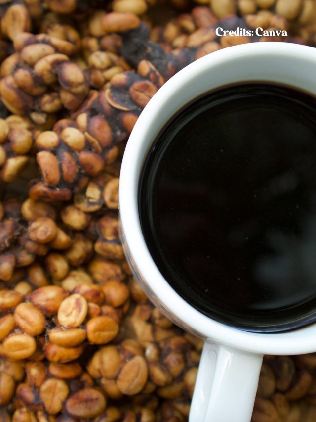 8 Types Of Animal Poop Coffee In The World